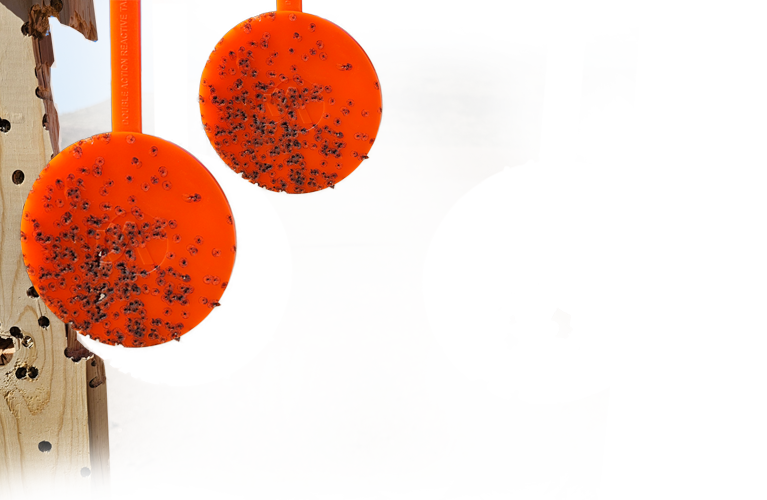 DA TARGETS – DA Targets